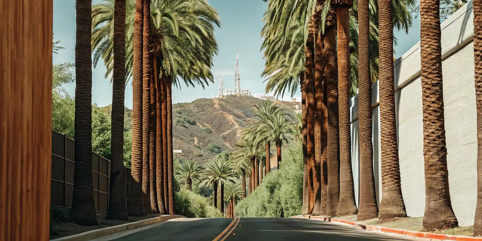 Los Angeles & Hollywood Tours | Explore LA’s Iconic Highlights
